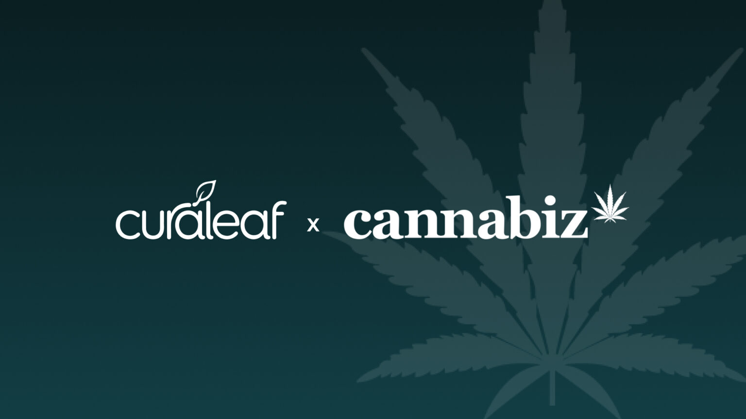 Curaleaf Laboratories Launches UK's First CE-certified Liquid Medical ...