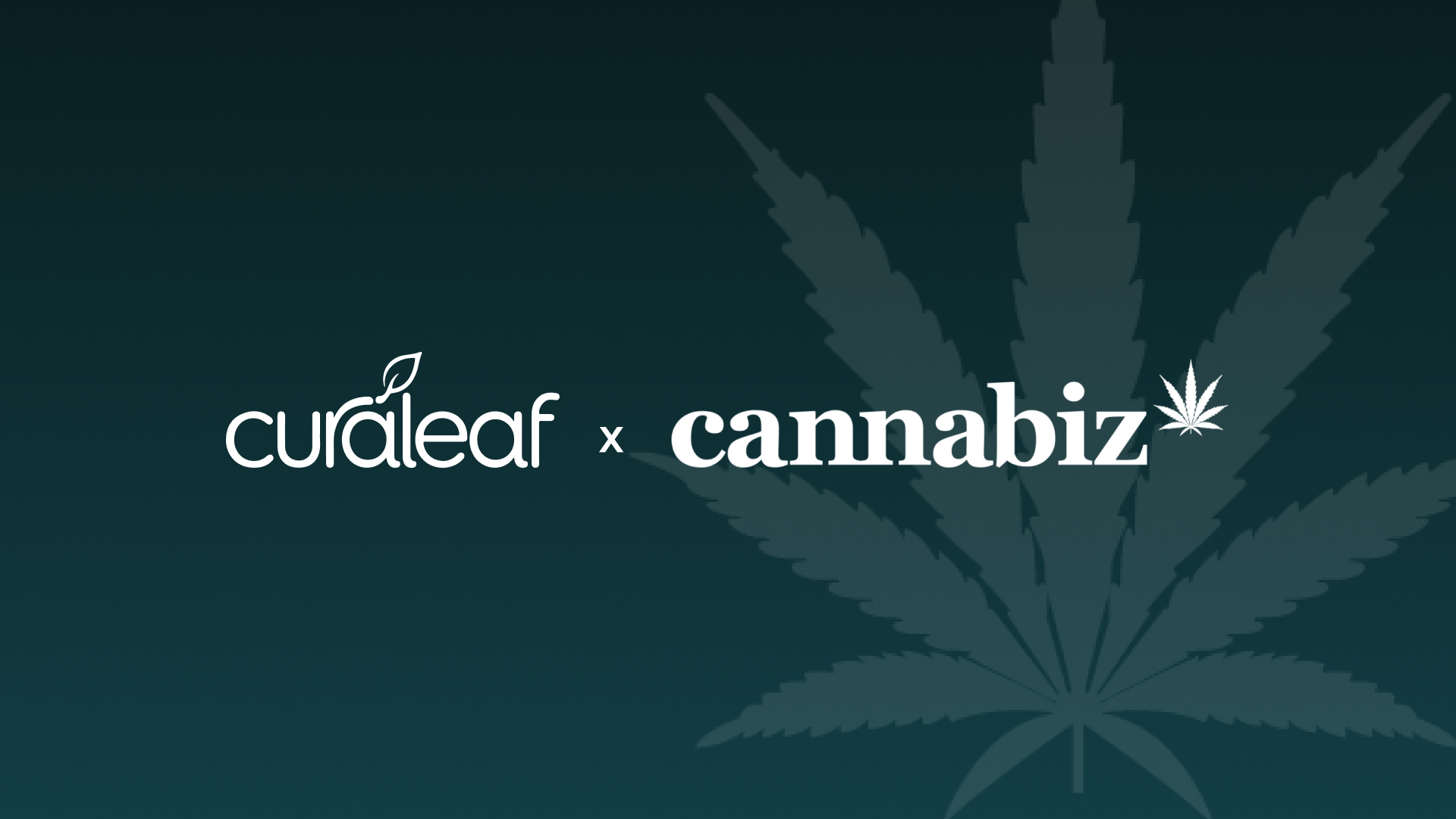 Curaleaf Laboratories Launches UK's First CE-certified Liquid Medical ...